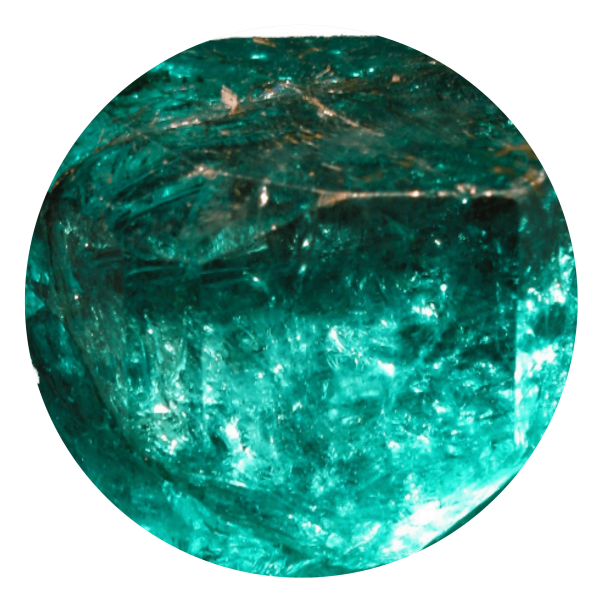 Apie mus - start4networking